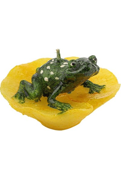Kurbağa Mum Yeşil