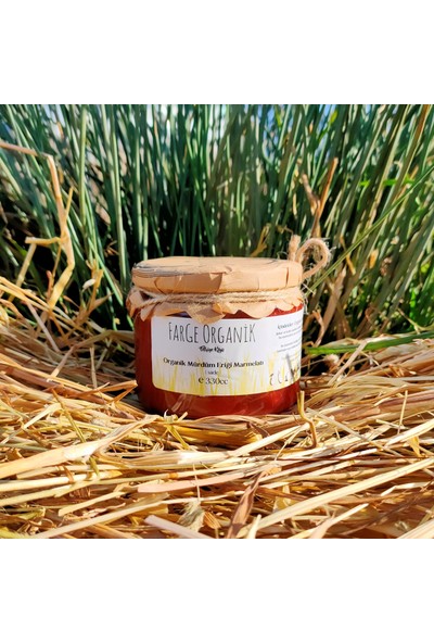 Farge Organik Organik Mürdüm Eriği Marmelatı Farge Organik Organik Mürdüm Eriği Marmelatı