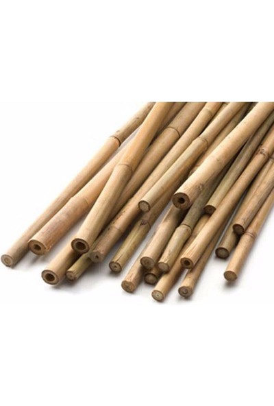Biblio 4'Lü Bambu Bitki Destek Çubuğu 150 Cm Biblio 4'Lü Bambu Bitki Destek Çubuğu 150 Cm
