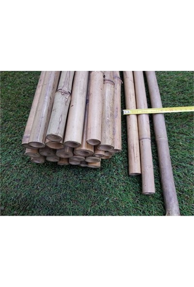Biblio Bambu Çubuk 300 cm 5 Adet 26-28 mm Bambu Çubuğu Bambu Çubukları Bitki Destek Çubuğu Biblio Bambu Çubuk 300 cm 5 Adet 26-28 mm Bambu Çubuğu Bambu Çubukları Bitki Destek Çubuğu