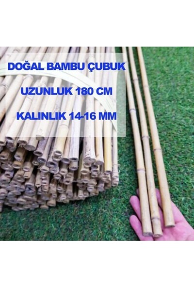 Biblio Bambu Bitki Destek Çubuğu 180 cm (5 Adet) Biblio Bambu Bitki Destek Çubuğu 180 cm (5 Adet)