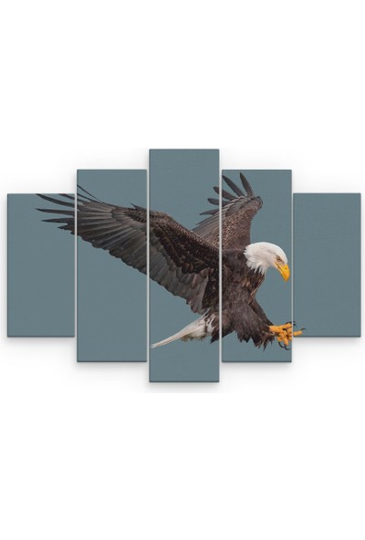 Hero Tasarım Kartal 5 Parça Mdf TABLOTGTB461