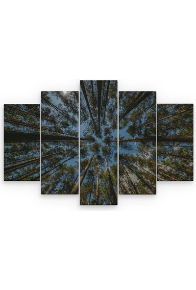 Hero Tasarım Orman 5 Parça Mdf TABLONHL490 Hero Tasarım Orman 5 Parça Mdf TABLONHL490