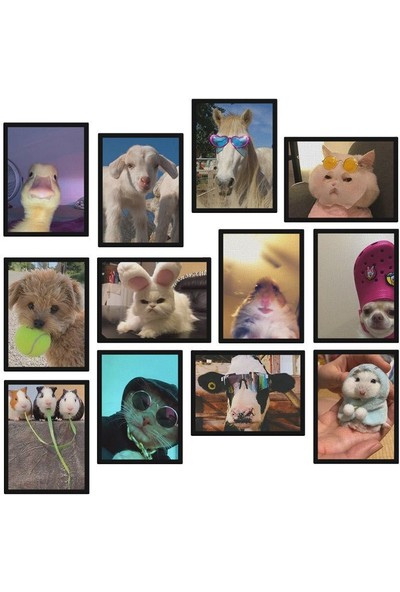 Hero Tasarım Funny Animal 12 Parça Mdf TABLOZLLTB325