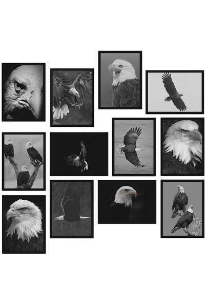 Hero Tasarım Şahin 12 Parça Mdf TABLOZLLTB191