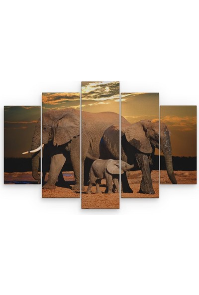 Hero Tasarım Filler 5 Parça Mdf TABLOTGTB228