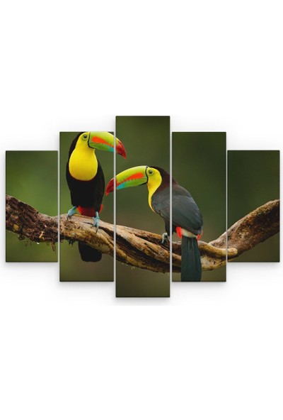 Hero Tasarım Tukanlar 5 Parça Mdf TABLOTGTB470