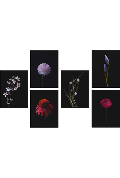 Hero Tasarım Çiçekler 6 Parça Mdf TABLOGMZ264