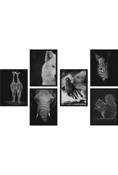 Hero Tasarım Siyah Beyaz Hayvanlar 6 Parça Mdf TABLOGMZ282 Hero Tasarım Siyah Beyaz Hayvanlar 6 Parça Mdf TABLOGMZ282