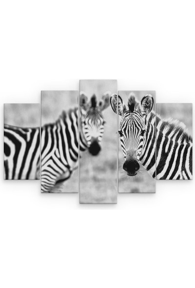 Hero Tasarım Zebra 5 Parça Mdf TABLONHL155