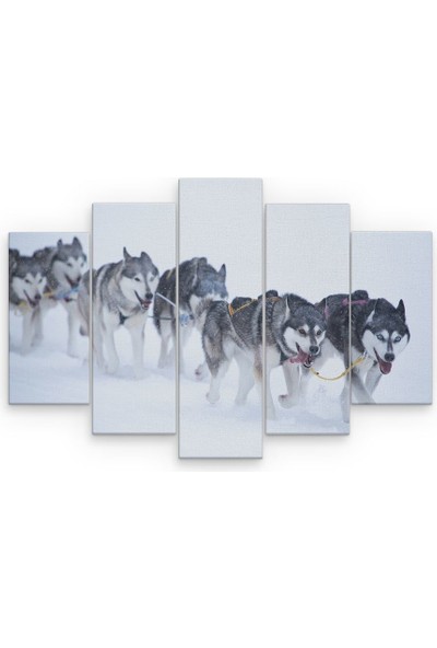 Hero Tasarım Sibirya Kurtları 5 Parça Mdf TABLOTGTB466 Hero Tasarım Sibirya Kurtları 5 Parça Mdf TABLOTGTB466