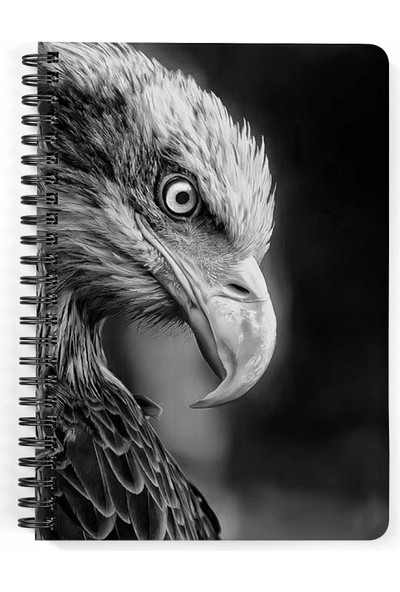 Hero Tasarım Şahin Baskılı Ahşap Kapaklı Defter 15X20 cm DFT2972