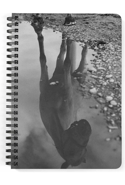 Hero Tasarım At Baskılı Ahşap Kapaklı Defter 15X20 cm DFT3351