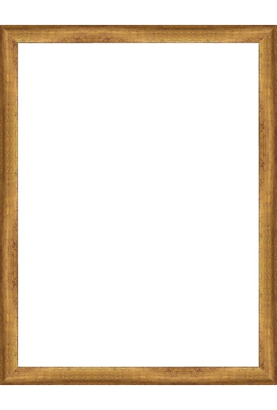 Resimshop 500 Parça Puzzle Çerçevesi - 2204 - Altın