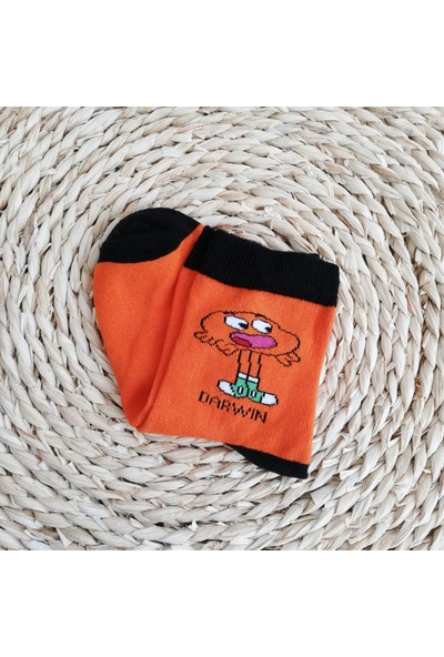 Dream Butik Darwin Çorap Dream Butik Darwin Çorap