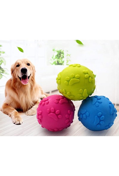 OEM Köpek Isırma Topu Pati Desenli Büyük OEM Köpek Isırma Topu Pati Desenli Büyük