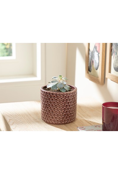 English Home Jacey Saksı 12X12X11CM Bordo