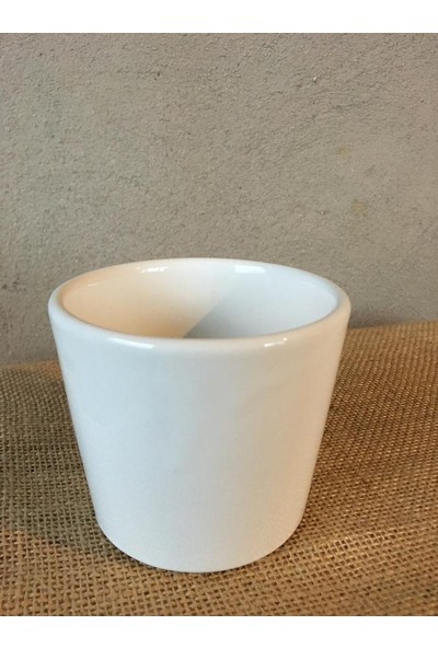 Sukulent Seramik Saksı - Sukulent-Kaktus Saksısı Beyaz Çap (8.5cm) Çiçek Saksısı