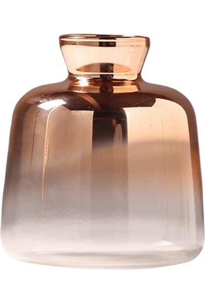 Nordic Stil Cam Çiçek Vazo Bitki Tutucu Ofis Masaüstü Teraryum Ekici 11X9 cm Ağız 4 cm Nordic Stil Cam Çiçek Vazo Bitki Tutucu Ofis Masaüstü Teraryum Ekici 11X9 cm Ağız 4 cm