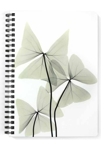 Doğa Baskılı Ahşap Kapaklı Defter 15X20 cm DFT3044