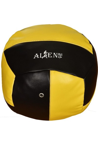 Alen Deri Sağlık Topu Crossfit Fittnes 5kg