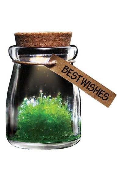 Wishing Crystal Crystal Garden Büyüyen Kristal