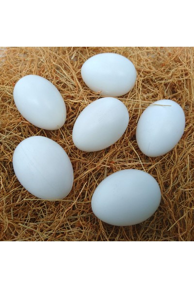 Vixpet Yapay Tavuk Yumurtası Orijinal Boyutta 6'lı Paket Vixpet Yapay Tavuk Yumurtası Orijinal Boyutta 6'lı Paket