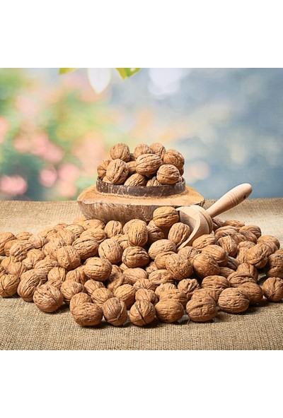 Kuruyemiş Kapımda İthal Kabuklu Ceviz İnce Kabuk Yeni Mahsül 500 Gram Kuruyemiş Kapımda İthal Kabuklu Ceviz İnce Kabuk Yeni Mahsül 500 Gram