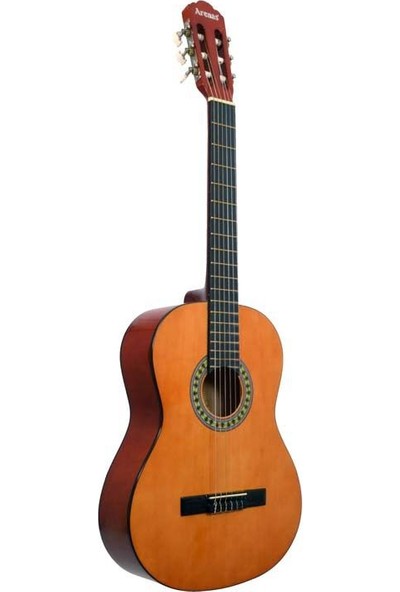 Gitar Klasik Arenas Model No:AC480Y