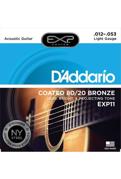 Daddario Exp11