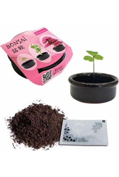 Pratik Bonsai Erguvan Ekim Kiti