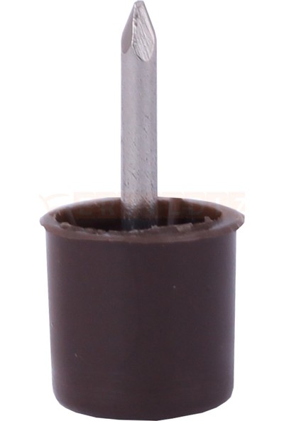 Eryıldız Raf Pimi Çivili Ceviz