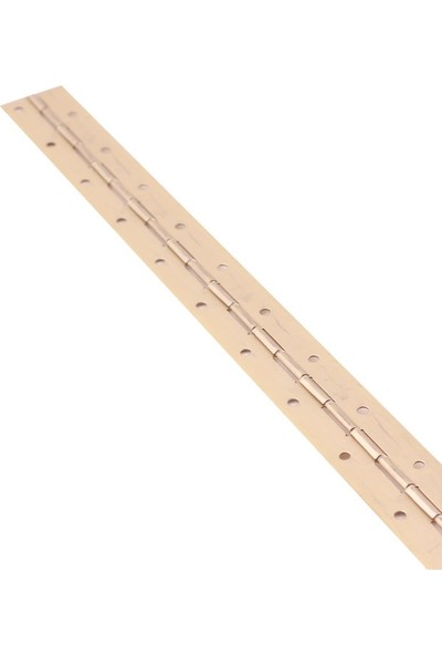 Eryıldız Boy Menteşe Sarı 1.75 Cm