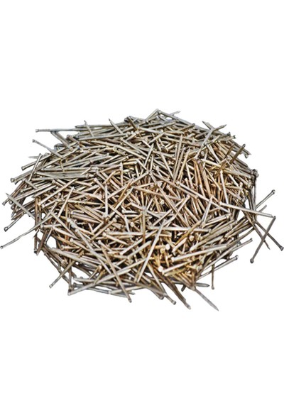 Eryıldız Sarı Çivi 5'lik Başsız