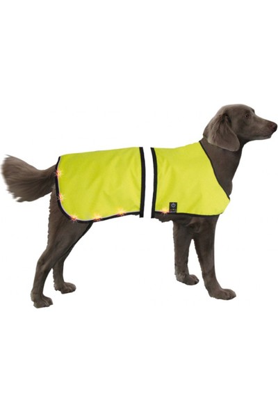 Nobby Fosforlu Ve Led Işıklı Köpek Yeleği 30-40 Cm X 40-55 Cm Nobby Fosforlu Ve Led Işıklı Köpek Yeleği 30-40 Cm X 40-55 Cm