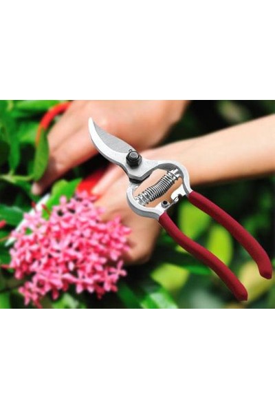 Anka Çok Amaçlı Bahçe Makası