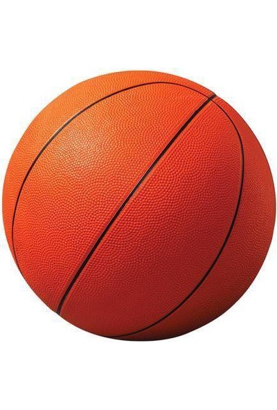 Anka Kauçuk Basketbol Topu (Profesyonel Boy)