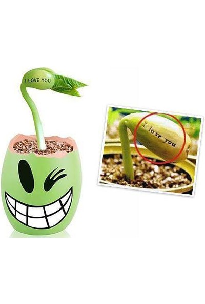 Anka Magic Egg Sihirli Yumurta (Asorti)