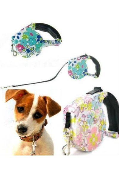 Anka Pup Style Desenli Köpek Gezdirme Tasması Anka Pup Style Desenli Köpek Gezdirme Tasması