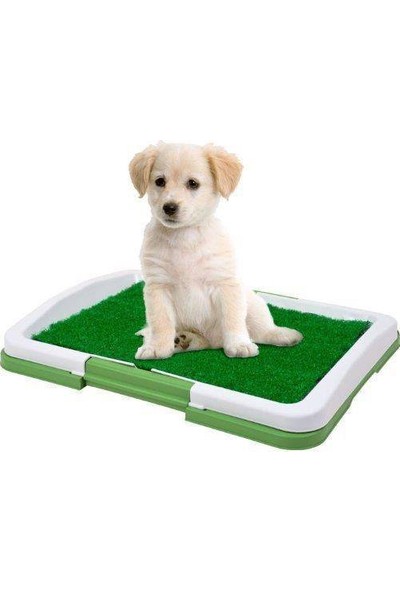 Anka Yavru Köpek Lazımlık