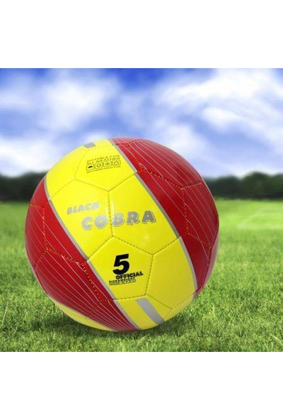 Anka Dikişli Futbol Topu