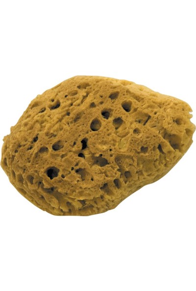 Dekor Doğal Deniz Süngeri Küçük 13cm