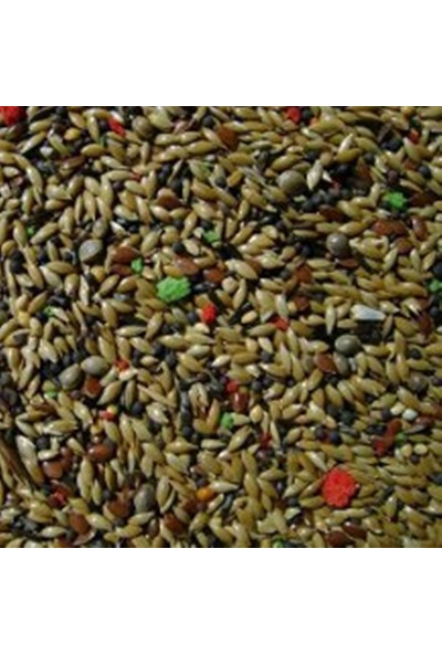 Yeşil Boncuk Kanarya Yemi 5 Kg