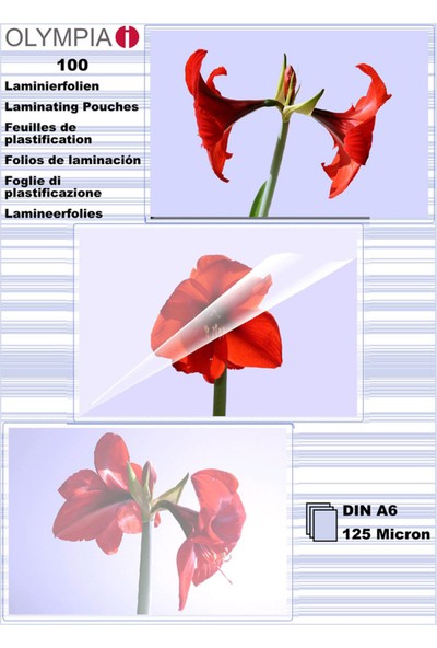 Olympia A6 Pvc Poşeti 125 Mic