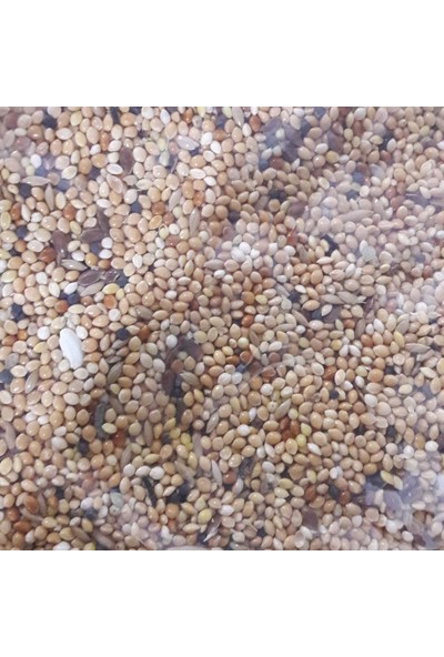 Roxin Kuş Üretici Muhabbet Yemi 5 Kg Ambalajda Roxin Kuş Üretici Muhabbet Yemi 5 Kg Ambalajda