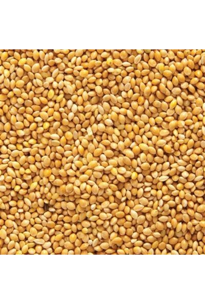 My Yem Sarı Darı 25Kg