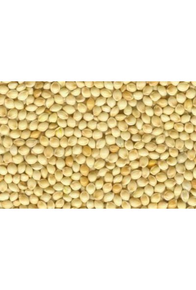 My Yem Beyaz Darı 25Kg My Yem Beyaz Darı 25Kg