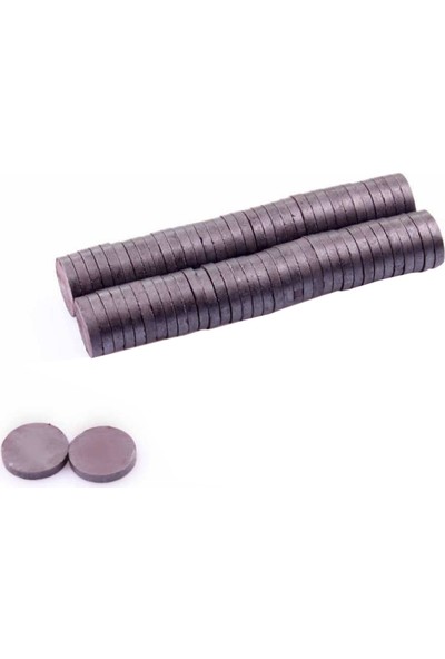 Direkstoktan Magnet Yapım Mıknatısı - 280 Adet Yuvarlak Mıknatıs Seti Direkstoktan Magnet Yapım Mıknatısı - 280 Adet Yuvarlak Mıknatıs Seti