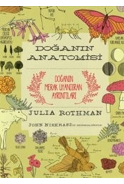 Doğanın Anatomisi - Julia Rothman