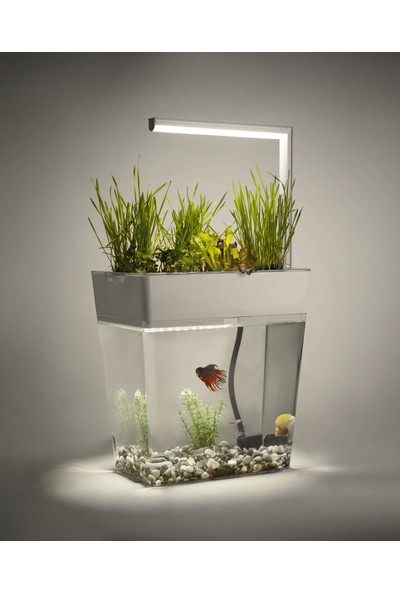 AquaGarden 9 Lt Kendi Kendini Temizleyen Akvaryum